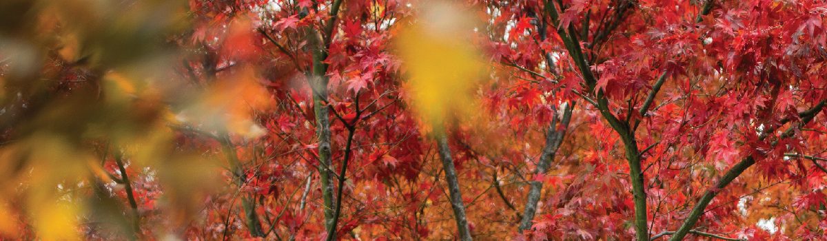 Home | Aiken Moser Wealth Management Group